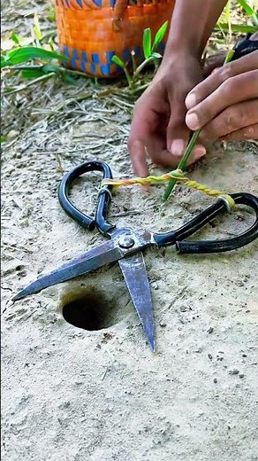 Simple Genius: How to Make a Creative Trap! #Shorts #DIYTrap #SurvivalHack