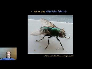 Mit Licht malen - die richtige Beleuchtung bei der Makrofotografie (PICOLAY-Workshop)