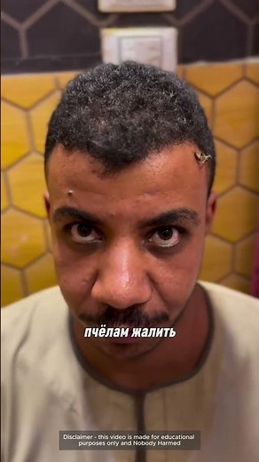 пчелиная терапия