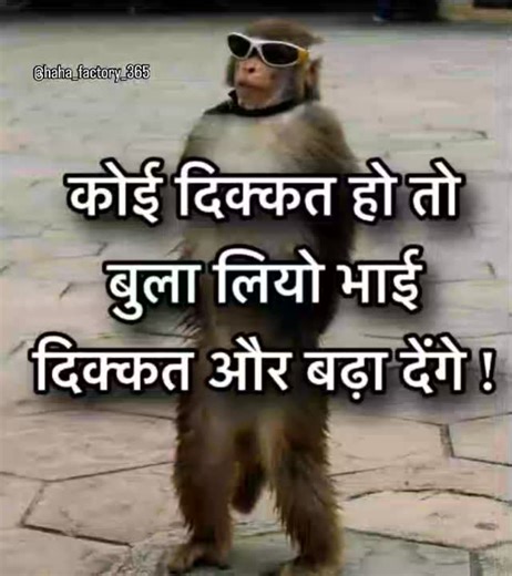 Billu Without Filter | Hai koi dikkat kisiko??😼 . . . . Follow @haha_factory_365 . . #fypppppppppppppppppppppppppppppppppppppppppppppppppppppppppppppppppppppp... | Instagram