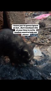 I know you're gonna ignore us but...But I need just 20s at your time to write random word to help me please 🙏 | Eddy Nandala