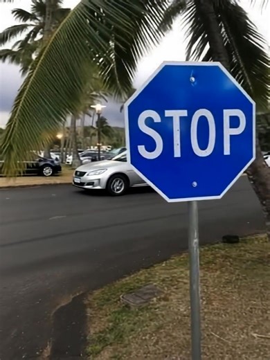 We came across this BLUE stop sign yesterday. Our neighbor told us that, apparently, because it's blue, it means something else. What does a blue stop sign mean? Check the 1st comments!👇👇👇 Continue Reading 👇 | Faith, Hope & Love