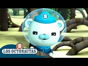Los Octonautas - ¡Atención, todas las barracudas! | Episodios Completos