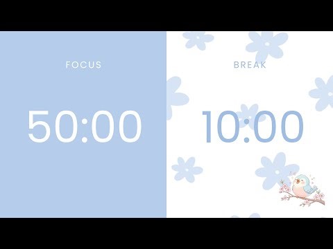 50/10 Pomodoro Timer 🍅 5 Hour Silent Study With Me | No Music 🔇 Soft Bird Chirping Transition