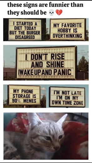 sign jokes that make people stop scrolling 😭