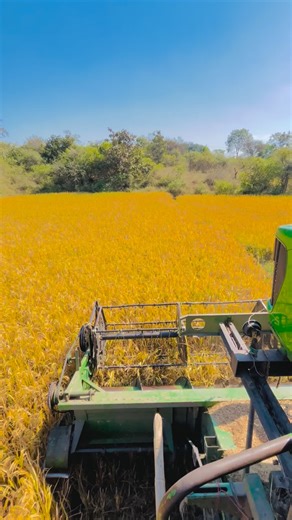 Mallesh 🦋 on Instagram: "🥺😔"