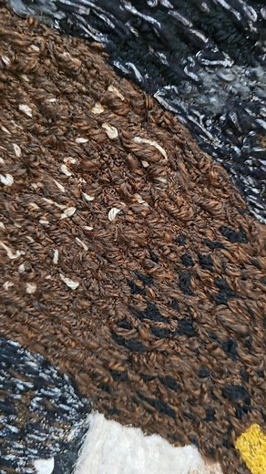 From fabric painting, yarn couched, thread painting and free motioned custom quilted! My 'PRIDE' quilt is ready for binding! Happy 250th U.S.A🇺🇸🇺🇸 #quiltingtranquility #Pride #artquilt #ProudAmerican | Quilting Tranquility