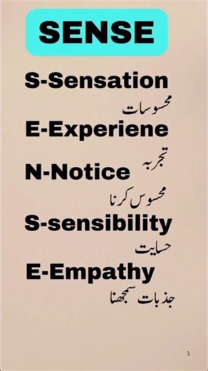 SENSE – Full Form Explained | Meaning of SENSE in English & Urdu