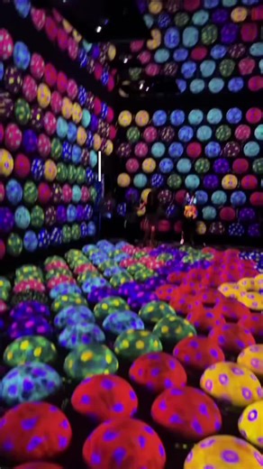 Explore the Magic of TeamLab in Tokyo