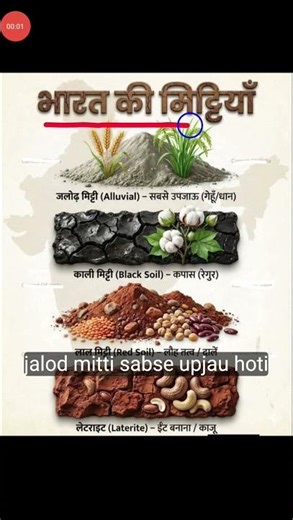 Different types soil and their major crops of that soil in India through infographic map