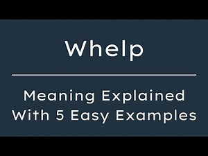 What Does Whelp Mean? Whelp Meaning in English With 5 Example Sentences