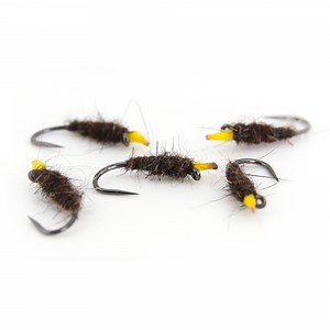 Stick Caddis
