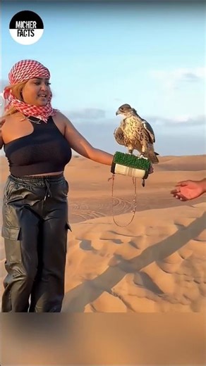 🦅Falcon handling don't make this mistake // Micher facts (Tamil)