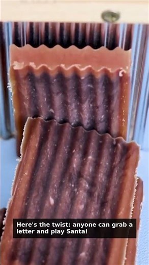 True Story Shorts.The Secret Santa Program in Brazil That Will Melt Your Heart