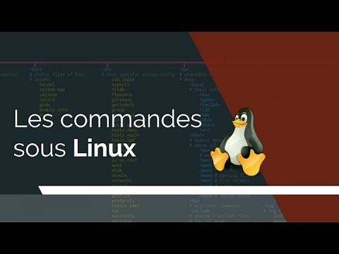 Linux training - Basic commands