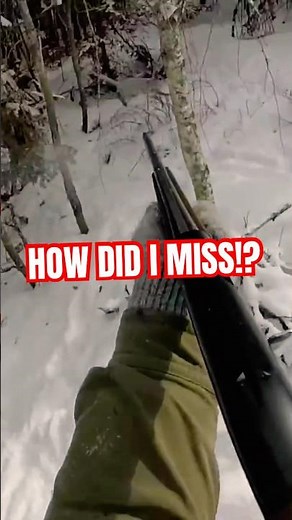 EPIC MISS ON SNOWSHOE HARE! | RABBIT HUNTING | #hunting #huntingdog #rabbithunting #upland #hunt