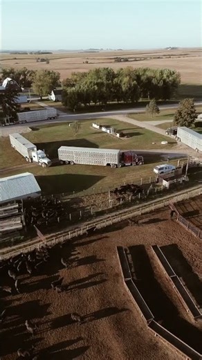 The Future of Dairy #Farming (Tech & Innovations)