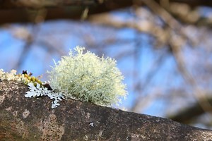 Can You Get Paid for Having People View Your Photos? A Look at Clickasnap