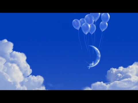 DreamWorks Animation Skg 2005