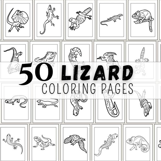 Lizard Coloring Pages Printable for Adults, Reptile Coloring Pages Printable, Reptile and Amphibian Coloring Pages, Instant Use Coloring PDF - Etsy