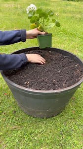 3.5M views · 36K reactions | This actually works in the garden!  This video was produced by Network Media and Lauren H Show | The Puzzle and Pointers | Facebook