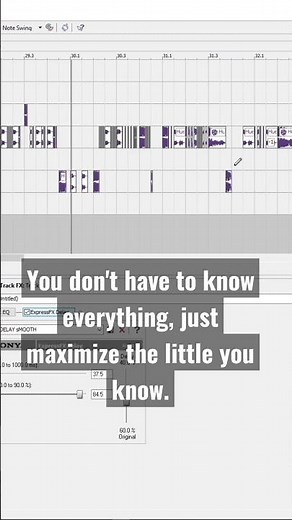Sony Acid Pro - Maximize the little You Know