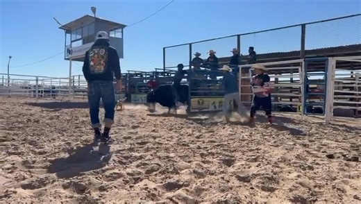 Arena Rodeo Santa Elena on Reels