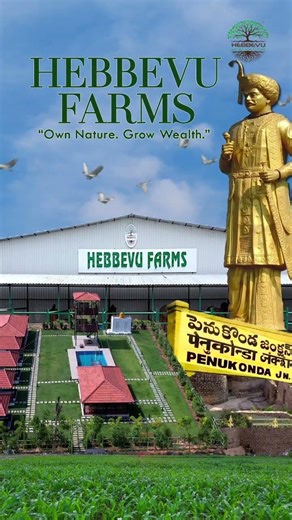 Some places don’t just grow crops, they grow history.