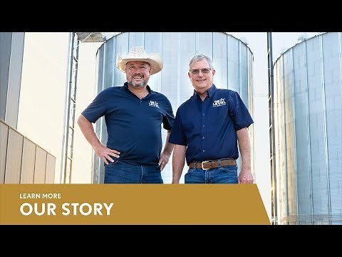 Next Level — Our Story