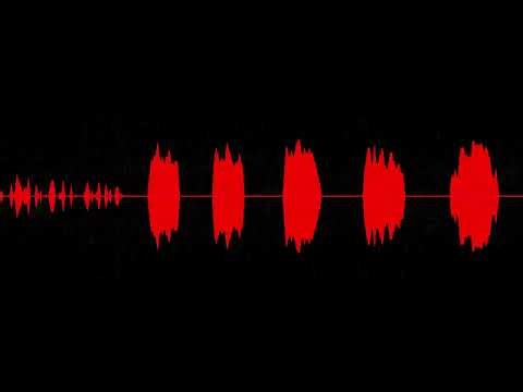 Keygen Music - RED - GS Typing Tutor 2.99 kg