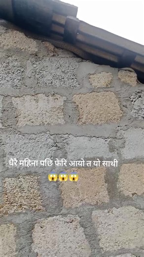 Sapana Basnet Karki (@sapanabasnetkarki)’s videos with original sound - Sapana Basnet Karki