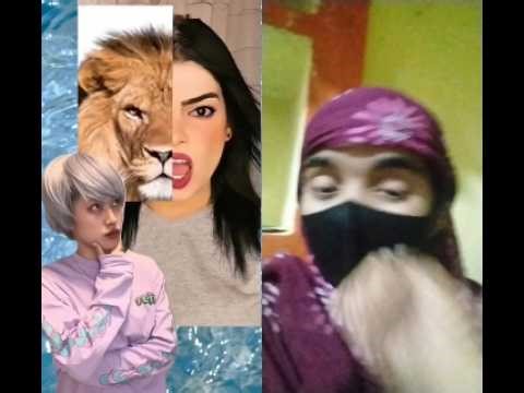 Animal tutorial|#filterchallenge #shorts #funny