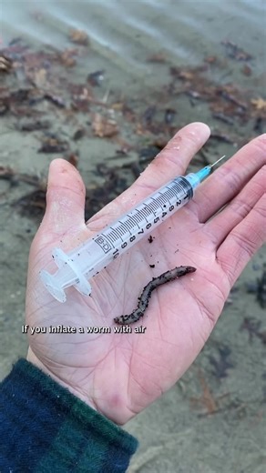 Your Grandpas secret floating worm technique 👀 #fishing #fyp #foryou