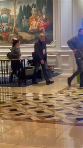 Things are getting weird at the Venetian 🎥 K9 Tango #lasvegas #cybertruck | Las Vegas Locally