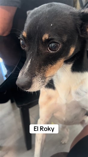 Lucy Rodríguez Jaime (@lucyrodriguezjaim)’s videos with original sound - Zoe