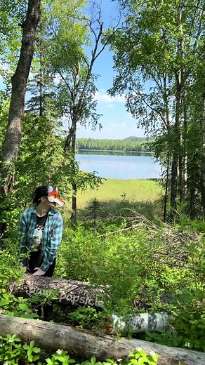 Harpy Hare, where have you buried all your children? This song has been all over my FYP lately. Love the vibes associated with it. Have some clips full of joy. ❄️🐾 #yaelokre #harpyhare #therian #therianthropy #theriantiktok #therianfyp #theriancommunity #paw_popsicle #theriantok