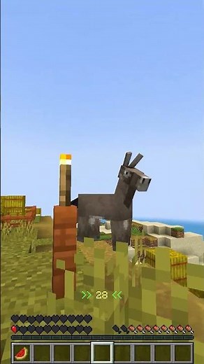 Minecraft But You SHAPESHIFT EVERY 30 SECONDS...