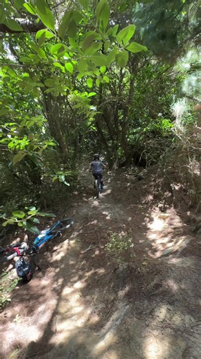 If Luca get one I get one #dreamingofafreakingfairytale #ripmaxturnball #dreaming #🦔