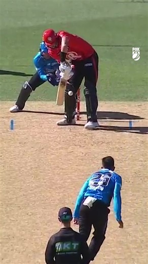 Cricket Highlights: Big Bash League 15