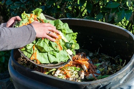 Top 10 Ways to Reduce Your Food Waste At Home - The Eco Experts