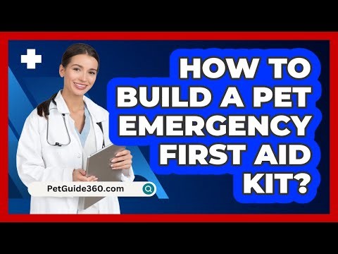 How to Build a Pet Emergency First Aid Kit?