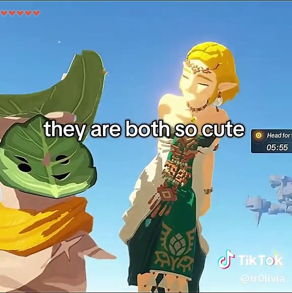 golden retiever couple #zelink #ageofimprisonment #thelegendofzeldatearsofthekingdom #zedlaedit #tloz