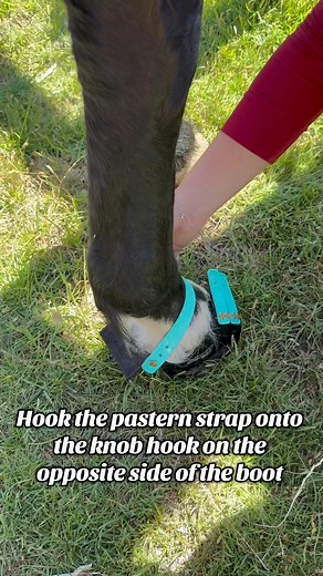 5.7K views · 31 reactions | How to put on Scootboots!  No cables,...