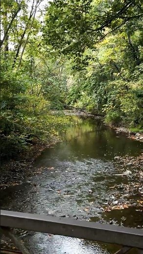 Nature & Timber Framing: A Partnership for Generations #Architecture #TimberFrame #Nature #History