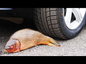 Crushing Crunchy & Soft Things by Car! - EXPERIMENT: FISH VS CAR
