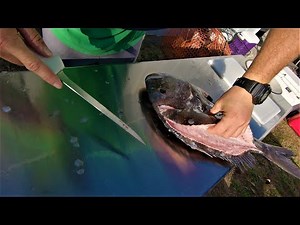 How to clean a Sheepshead (FAST) - Catch, Clean, Cook: Fish Cakes
