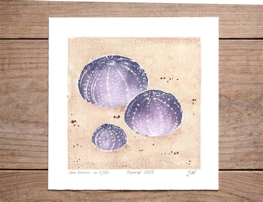 Sea Urchin Shell Linocut Print, Hand Printed Linoprint, Coastal Wall Art, Nordic Beach Decor, Limited Edition - Etsy