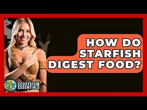 How Do Starfish Digest Food? - Ecosystem Essentials