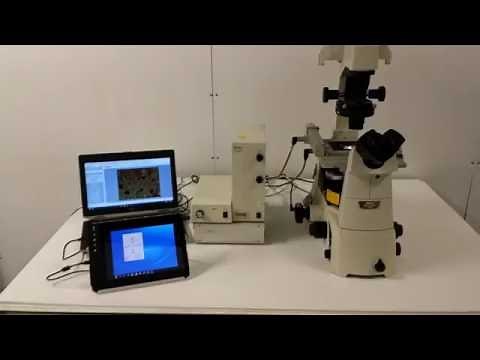 Nikon Eclipse Ti-U Inverted Microscope 20x for BF, Phase Contrast, Fluorescence [BOSTONIND] - 10326