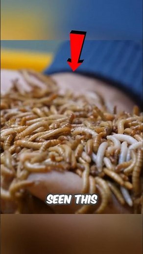 Gym Protein Dark Truth 🤮